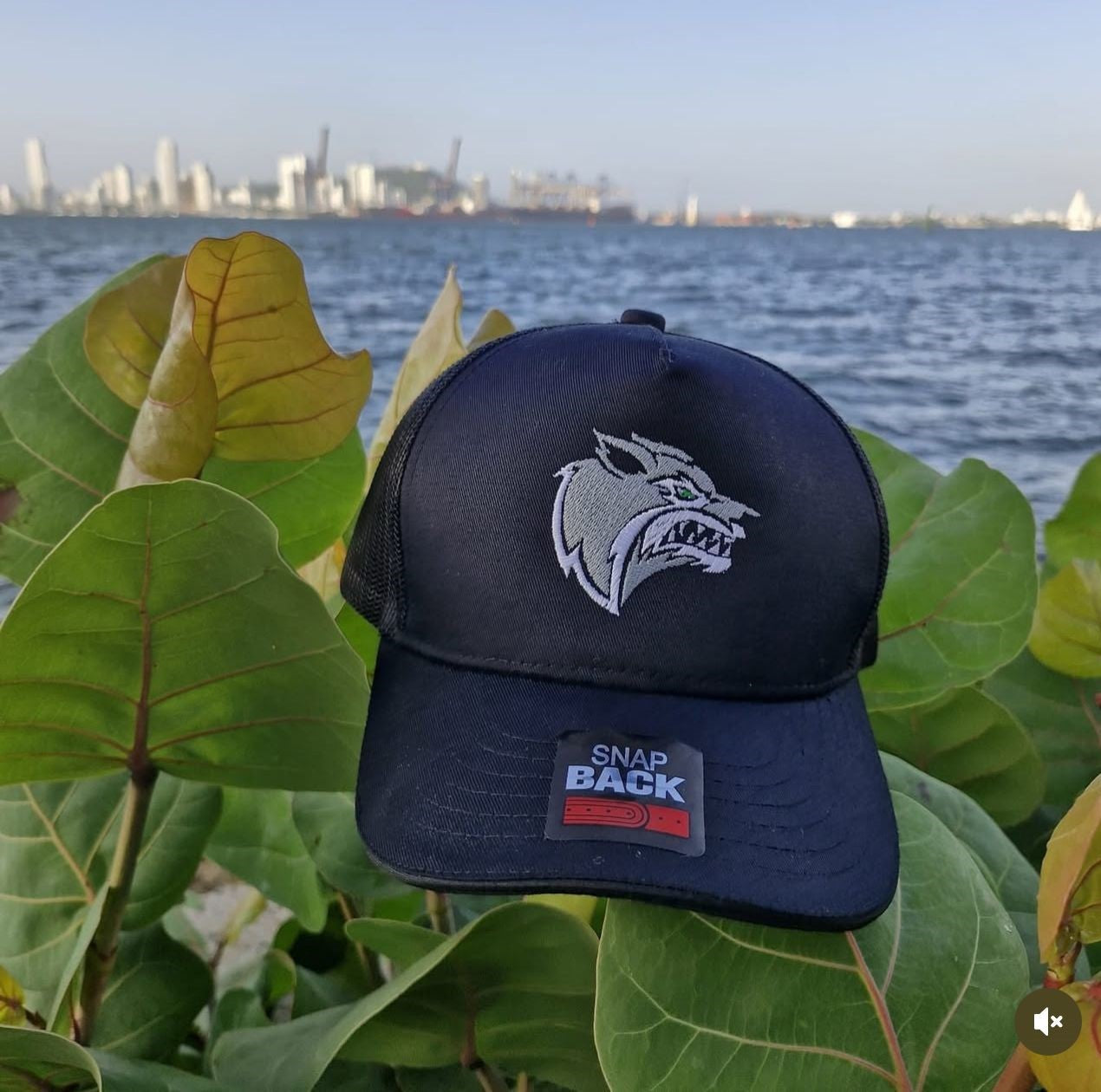 Gorras – Design.co